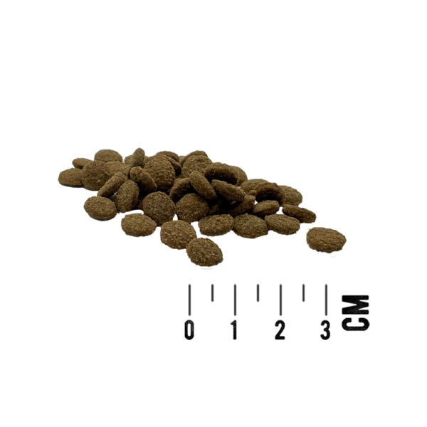 Tundra Cat – Tundra Petfoods